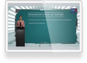 Solutions – ed5.com