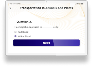 Solutions – ed5.com