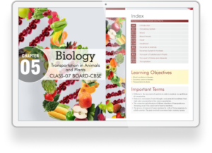 Solutions – ed5.com