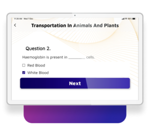 ed5.com – THE FUTURE IS HERE